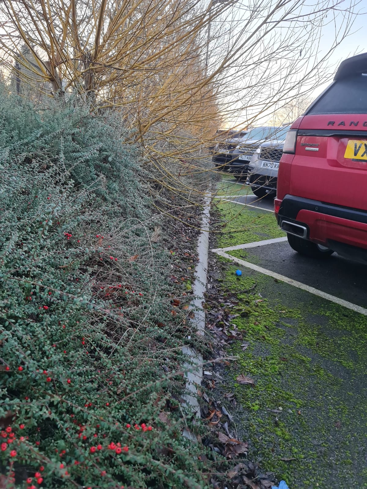 Car Park Tidy Up - Facilities Company